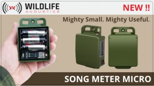 野生動物の音声や超音波を記録するレコーダー「Song Meter」 | 研究開発者向け情報発信メディア TEGAKARI