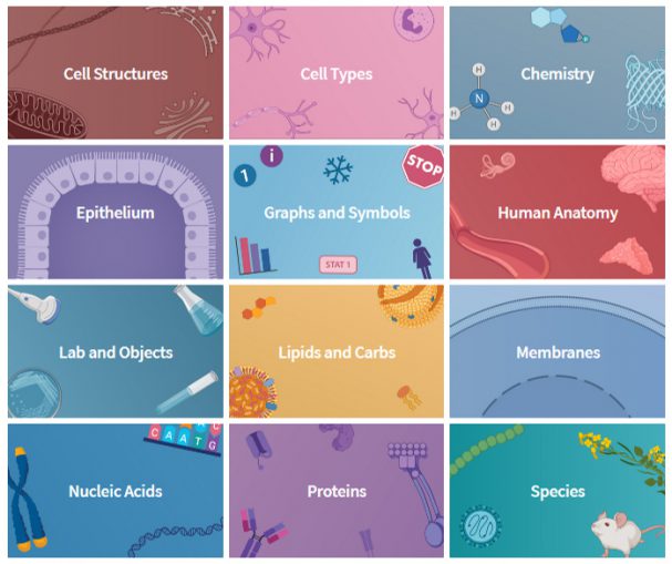 Illustration tool "BioRender" for the life science field | Information ...