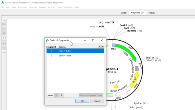 分子生物学研究を支援するためのソフトウェア 「SnapGene」の 最新バージョン 6.0 が正式リリースされました | 研究開発者向け情報 ...