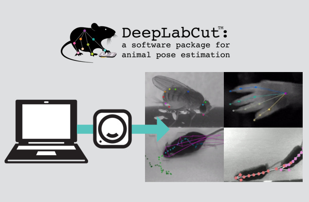 We provide turnkey systems specialized for each customer's R&D theme [Service introduction ...