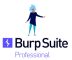 Burp Suite feature comparison (Enterprise Edition vs. Professional ...