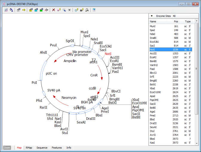 SnapGene と Clone Manager：分子生物学研究を支える強力なツール | 研究開発者向け情報発信メディア TEGAKARI