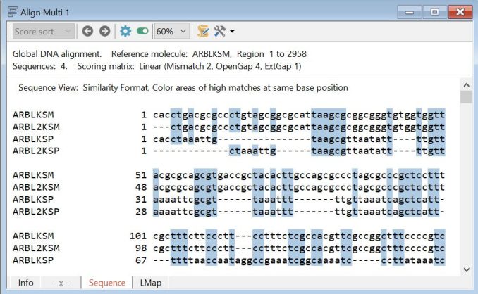 SnapGene と Clone Manager：分子生物学研究を支える強力なツール | 研究開発者向け情報発信メディア TEGAKARI